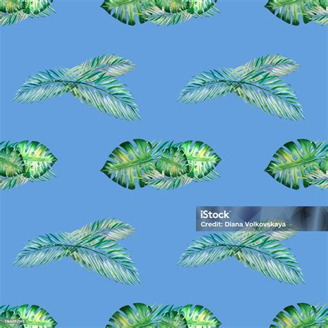 열대 잎에서 원활한 패턴 몬스타 야자수 수채화 그림입니다 이국적인 식물 내츄럴 프린트 스케치 드로잉 0명에 대한 스톡 벡터 아트