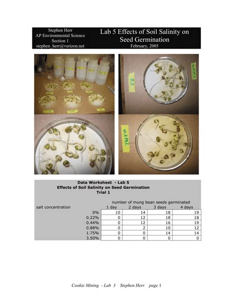Effect Of Salinity On Seed Germination Experiment Germination Of Seeds