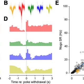 SR Of Auditory Cortex Neurons Is Reduced Following Trial Initiation A