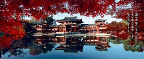京都紅葉情報2024更新スタート 気になるモミジの色づき状況はそうだ 京都行こう