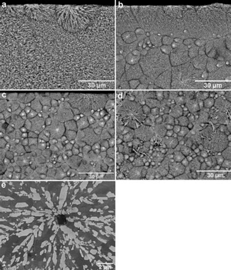 Microstructure Of The Equiaxed Zone Zone E In Fig 3 Of Alcr Alloys Download Scientific