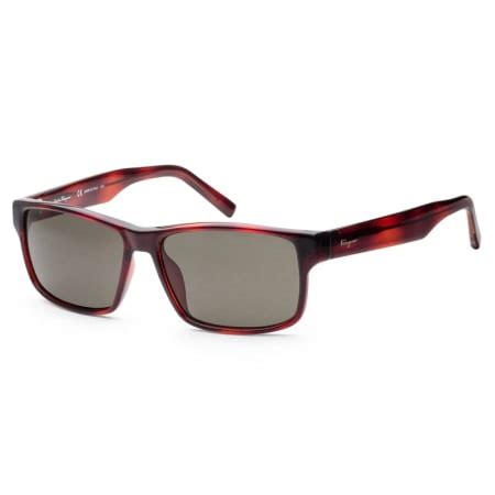Salvatore Ferragamo Fashion Womens Sunglasses Sf960s 214
