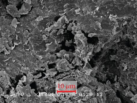 Microscopic Characteristics Of Carbonate Cementation Features Of Sandy Download Scientific