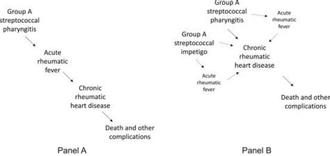 Epidemiology Risk Factors Burden And Cost Of Acute Rheumatic Fever