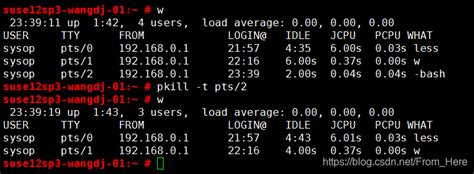 Linux 杀进程几种方式的区别：kill，killall，pkillkillall与kill区别 Csdn博客