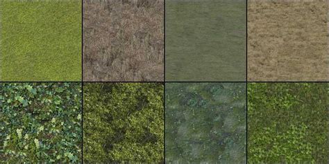 Grass And Forrest Ground Texturepack Grass Forrest Floor Texture