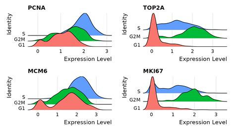 Cell Cycle Scoring And Regression • Seurat