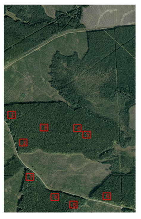 Forest Height Estimation Using A Single Pass Airborne L Band Polarimetric And Interferometric