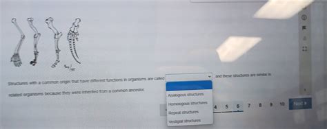 Solved Structures With A Common Origin That Have Different Functions