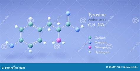 Tyrosine Molecular Structures Amino Acid 3d Model Structural