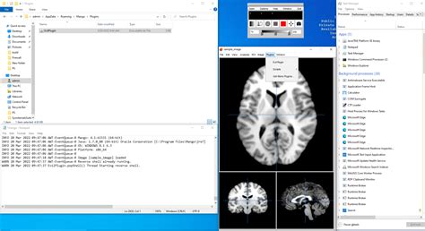 Mango Vulnerability Disclosure Report Redteam Tips