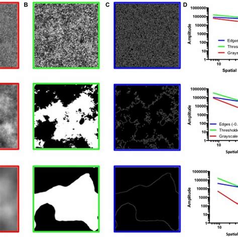 Grayscale Images Varying In Amplitude Spectrum Slope From 05 To 25 In