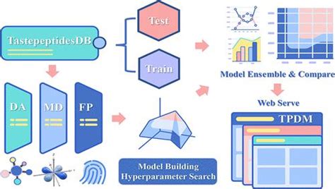 集成对接和分子描述符和指纹结合机器学习揭示的 T1r1 和 T2r14 受体的保守位点和识别机制 Journal Of Agricultural And Food Chemistry X Mol