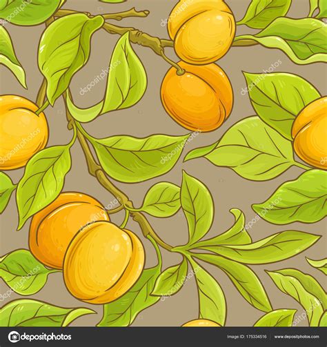 Apricot Vector Pattern Stock Illustration By Cuttlefish84 175334516