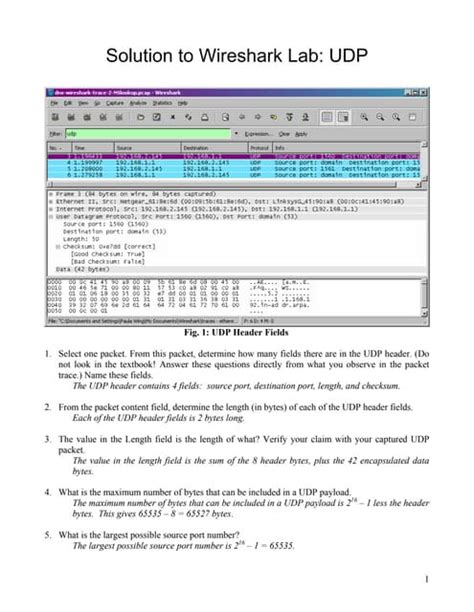 Wireshark Udp Pdf Computer Networking Computing