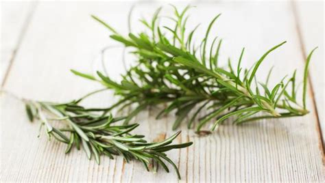 BBC - Food - Rosemary recipes