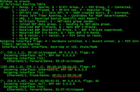 Multicast Pim Dense Mode Lessons Discussion