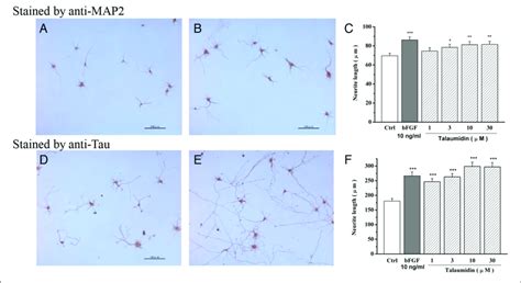 Neurite Outgrowth Promoting Activity Of 1 Shown By Anti Map2 And