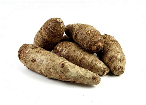 Fresh Malanga Root Yautía Blanca Premium Quality 5 Lb