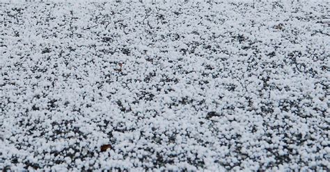 소금 뿌린듯 쌓인 싸라기눈