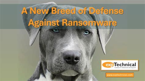 Endpoint Detection And Response Exp Technical