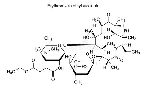 Chemical Structure Of Erythromycin Ethylsuccinate Drug Substance Stock Illustration