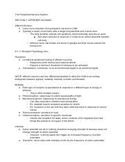 PHGY 215 Module 3 Pdf The Peripheral Nervous System SECTION 1 AFFERENT DIVISION Afferent