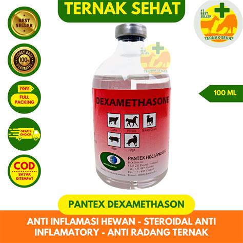 Harga Dexamethasone Terbaru Juni 2023 Biggo Indonesia