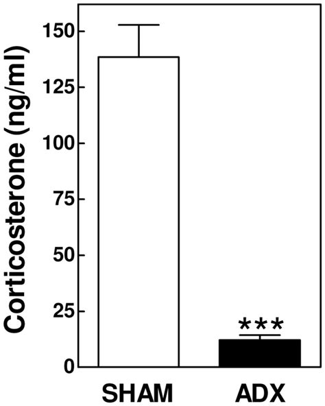 Adrenalectomized Adx N19 Apoe Knockout Mice Show Diminished Plasma
