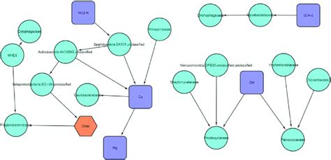 bayesian network analysis showing inferred regulatory relationships