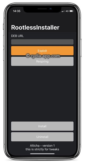 RootlessJB IOS Jailbreak App