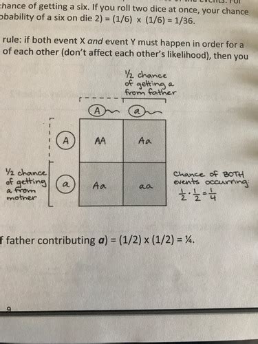 Unit 6 Genetics Topic 2 Genes And Inheritance Flashcards Quizlet