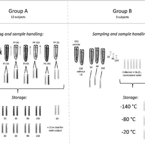 PDF Optimization Of Procedures For Collecting And Storing Of CSF For Studying The Metabolome