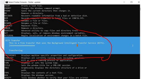 Flutter Instalation Problem How To Fix This Issue Stack Overflow
