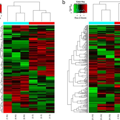 Hierarchical Clustering Of Differentially Expressed Mrnas 24 H After Download Scientific