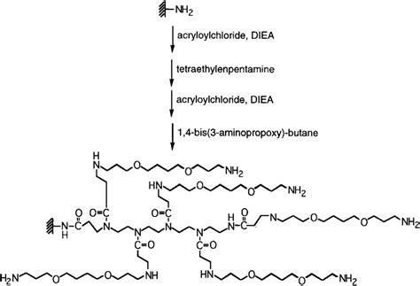 Dendrimeric Linker Structure Created By A Four Step Reaction As