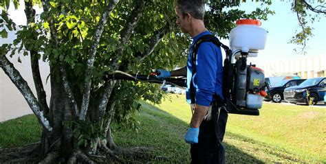Coral Springs Pest Control Buglife Pest Control Coral Springs