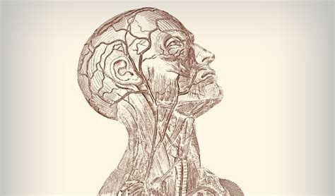 Facial Recognition Method Reads Vein Patterns Filehippo News