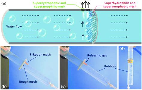 Removing Bubbles In A Water Pipe A Schematic Diagram Of The Designed Download Scientific