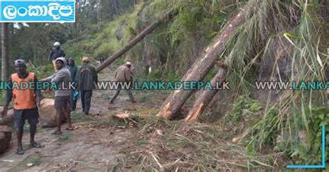 ඇල්ල පස්සර මාර්ගයට ගස් කඩා වැටේ ගමනාගමනයට බාධා Lankadeepa Online
