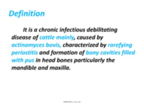 Actinomyces Lumpy Jaw