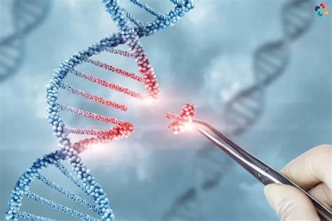Breakthrough Crispr Based Diagnostics Revolutionize Oral Pathogen Detection By