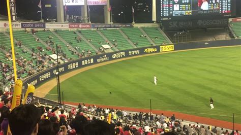 잠실야구장 고양이 난입 Feat 김주찬 정신차려 Youtube