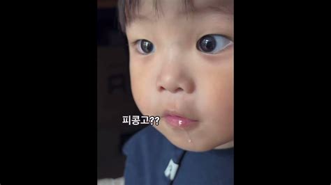 지니 핑크퐁 뽀로로 에디 Youtube