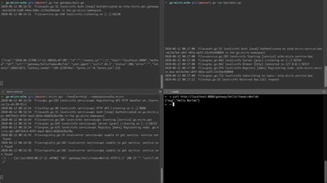 Building A Simple Microservices Using Go Micro And Echo Frameworks · Cozi