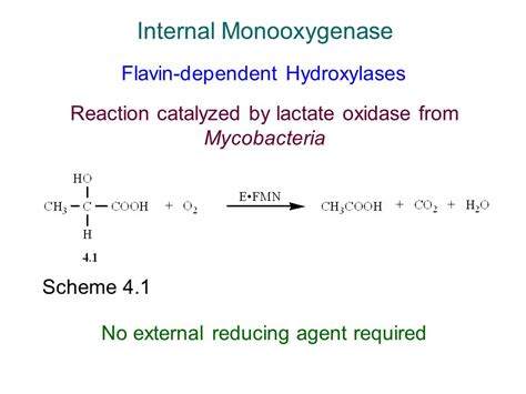 Monooxygenation Table 4 1 Typical Reactions Catalyzed By Monooxygenases Ppt Video Online