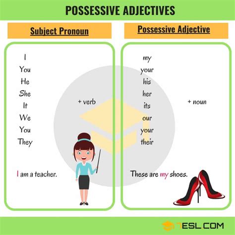 What Are Some Examples Of Possessive Adjectives Printable Online