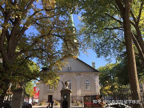 麦吉尔大学 知乎