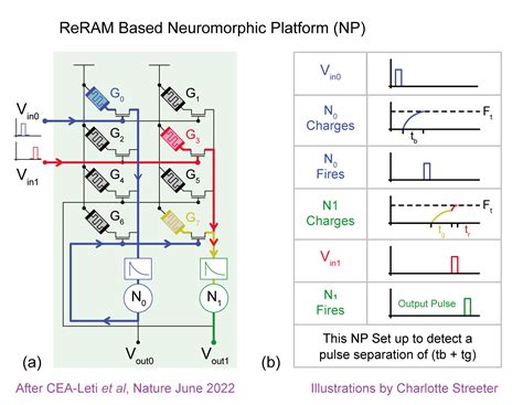 Rerams Find A Neuromorphic Role In Owl Inspired Object Location The