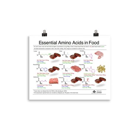 Essential Amino Acids Poster Nutritional Biochemistry Nine Essential